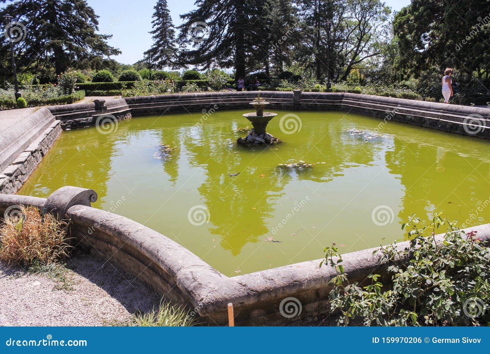 Old pond in the park editorial photo. Image of famous - 159970206