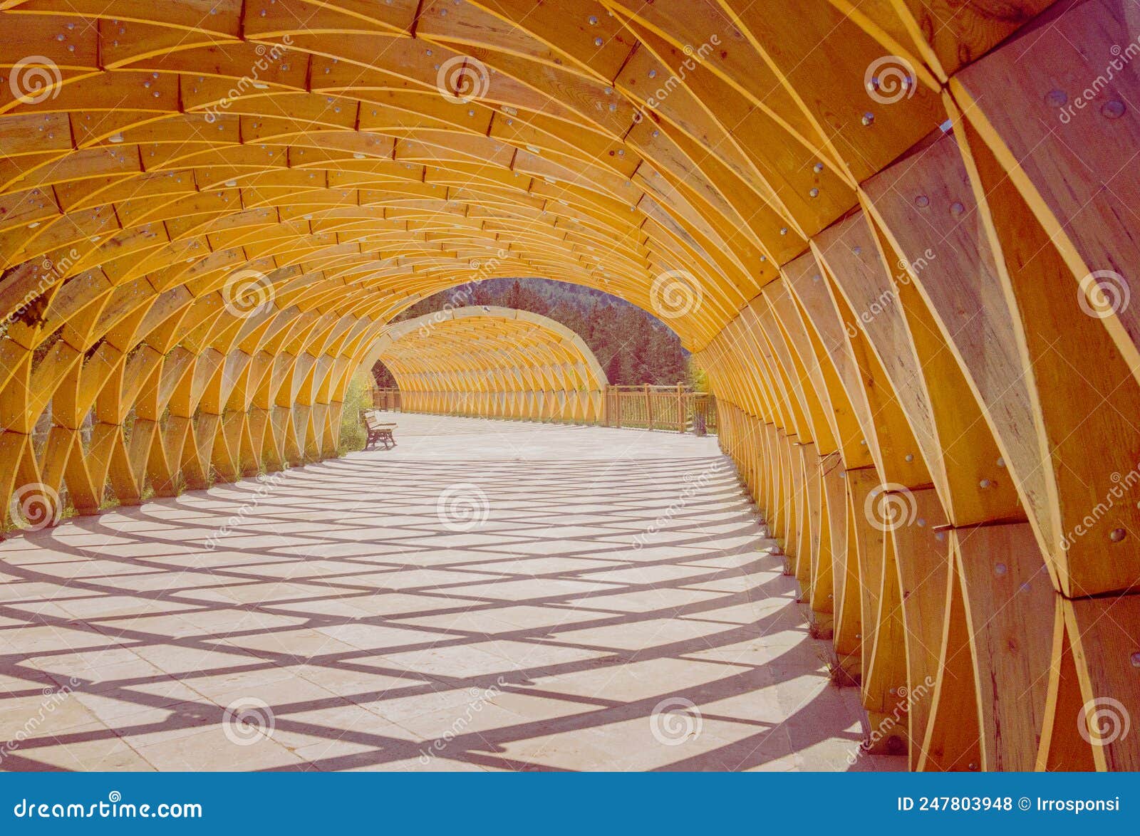Architecture road . stock photo. Image of symmetry, design - 247803948