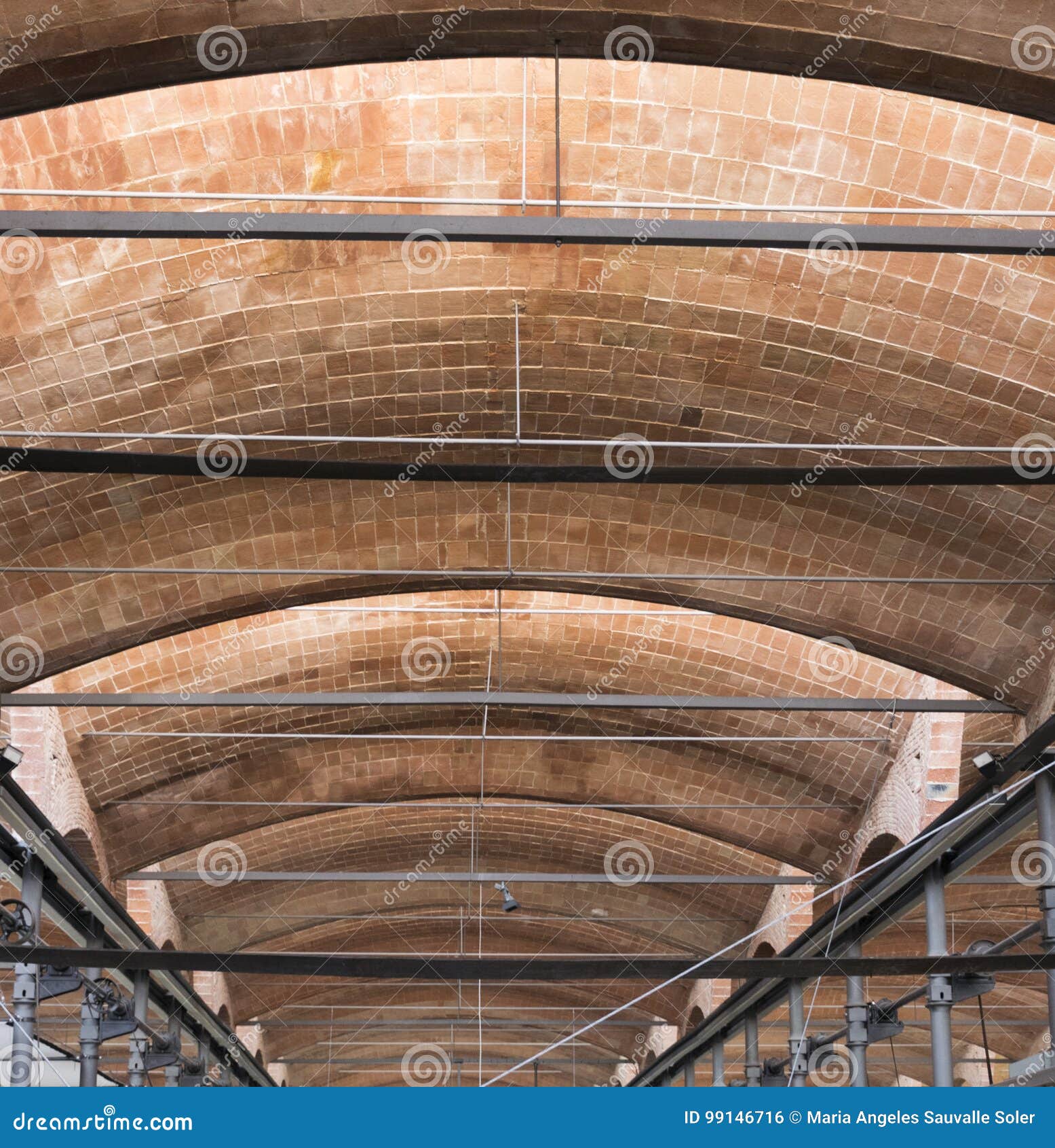 Vaulted ceiling. stock photo. Image of cover, dome, tunnel - 99146716