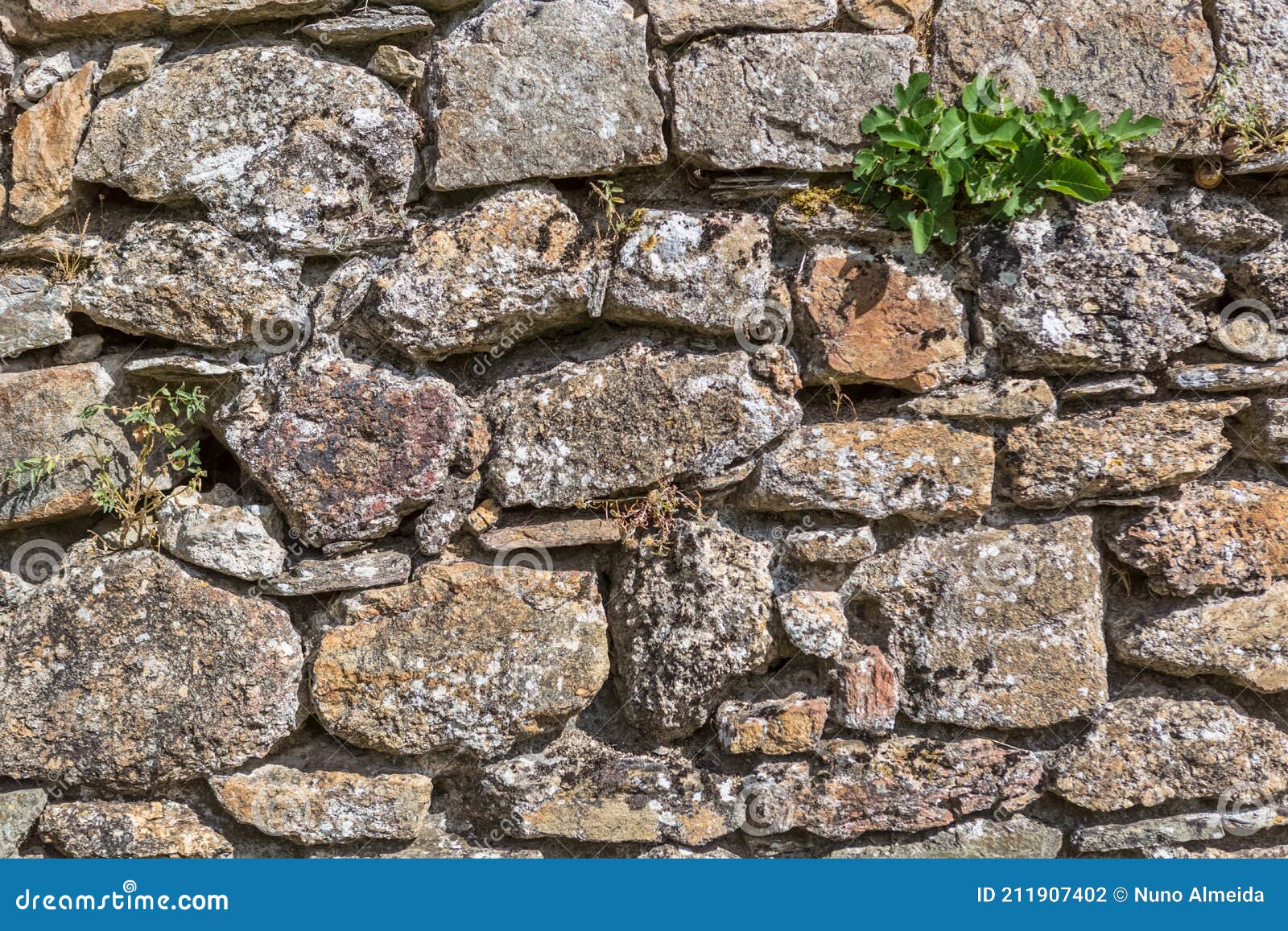 Architecture Textures, Detailed and Rustic of Paired Masonry Granite ...