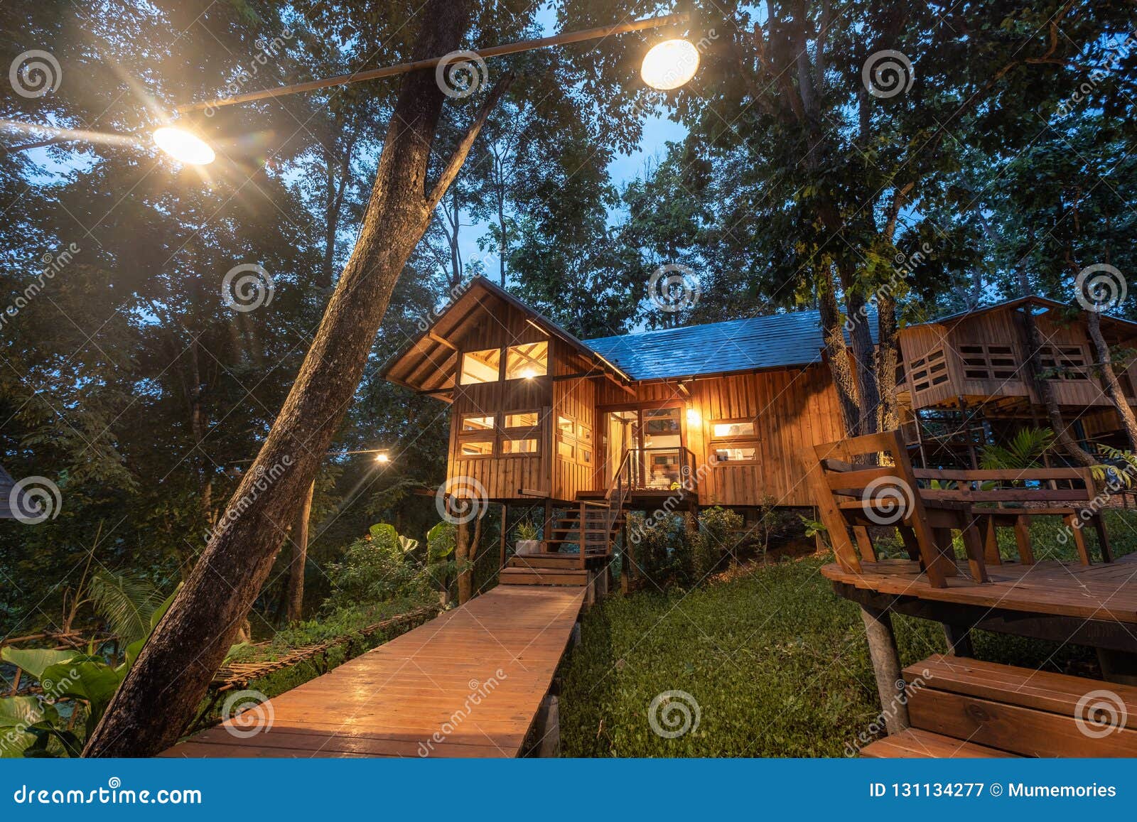 Architecture Wooden House in Rainforest Stock Image - Image of night ...