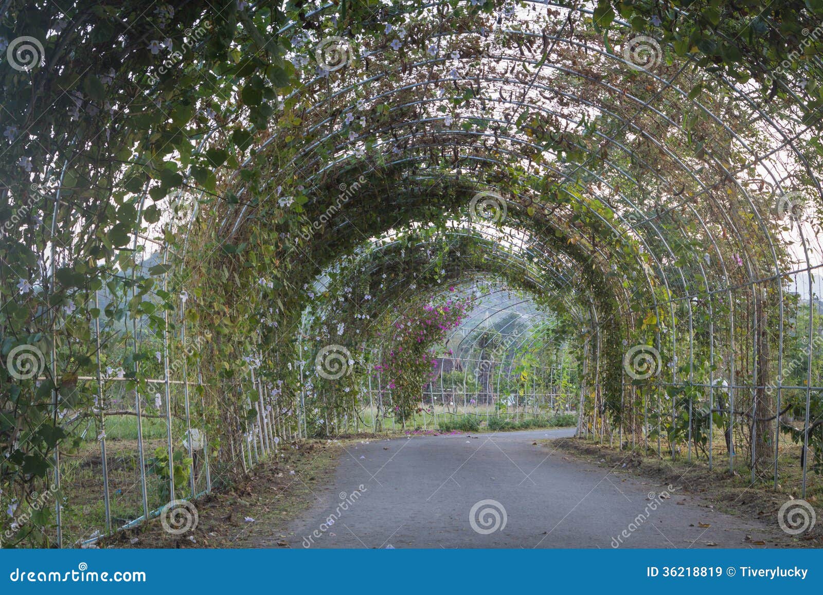 Archway in the garden stock image. Image of floral, travel - 36218819