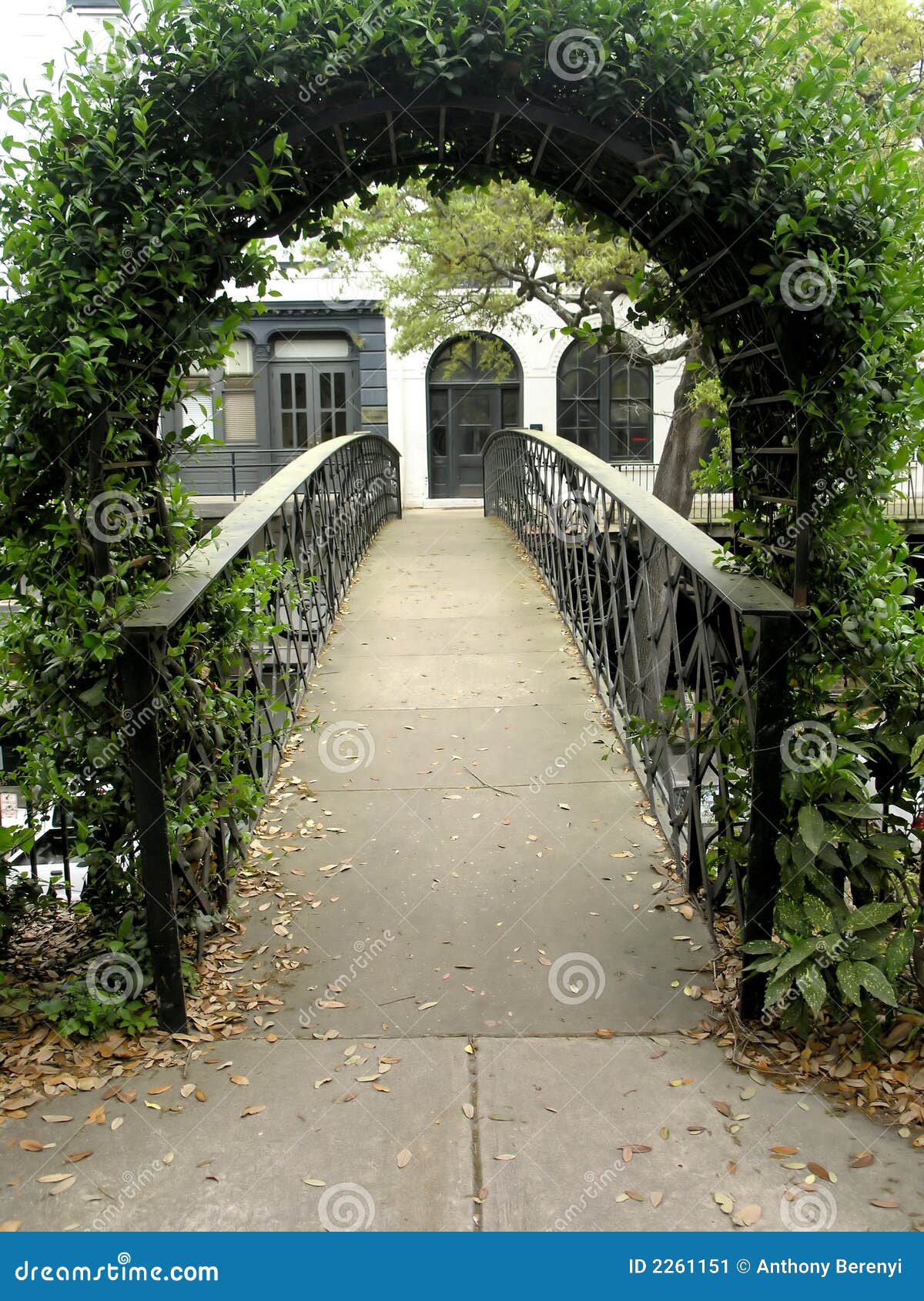 Archway - trellised stock image. Image of path, history - 2261151