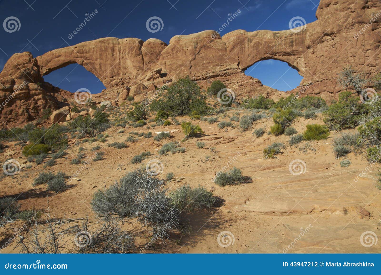 Arco de Windows foto de archivo. Imagen de alza, parque - 43947212