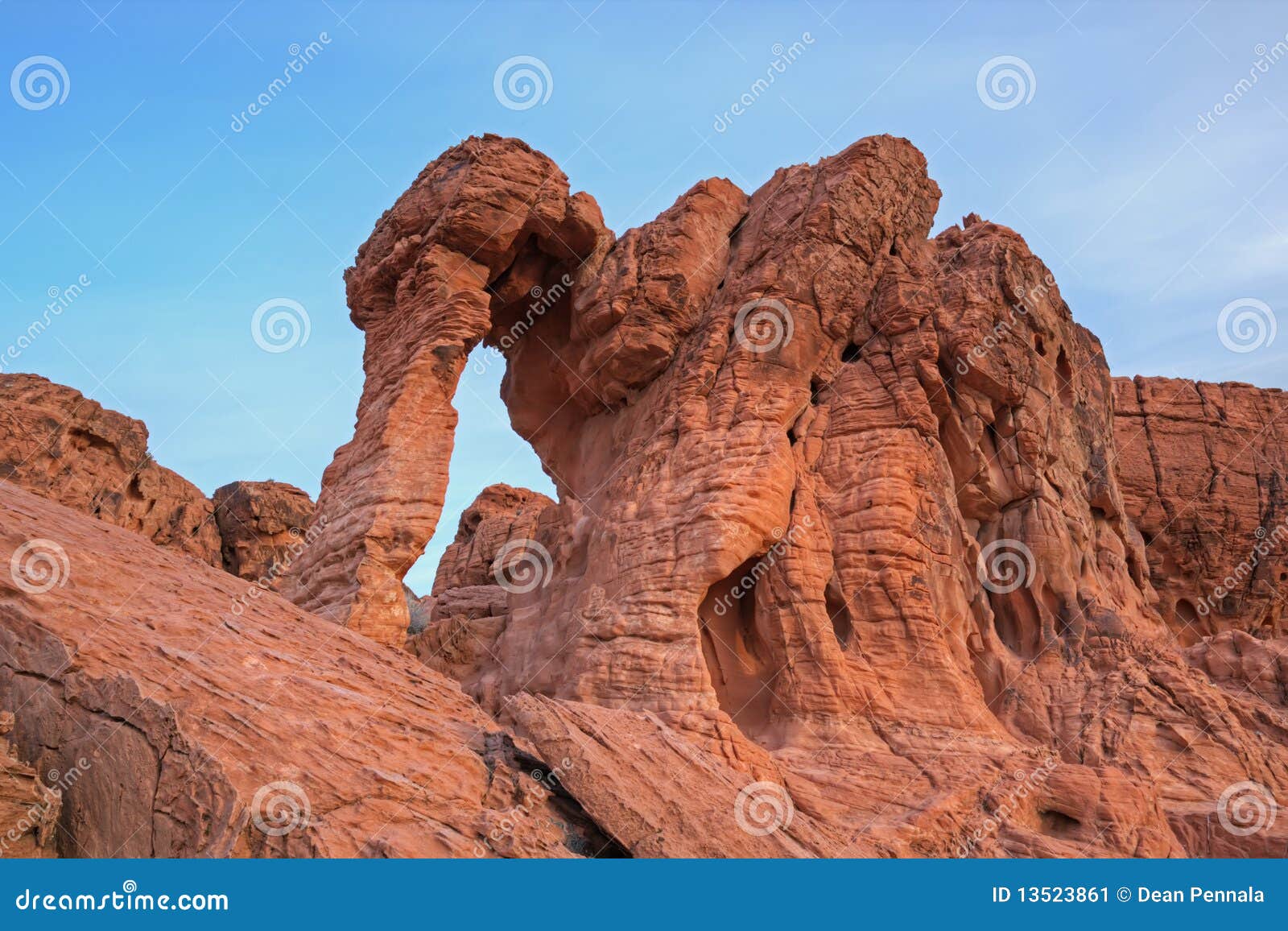 Arco del elefante imagen de archivo. Imagen de textura - 13523861