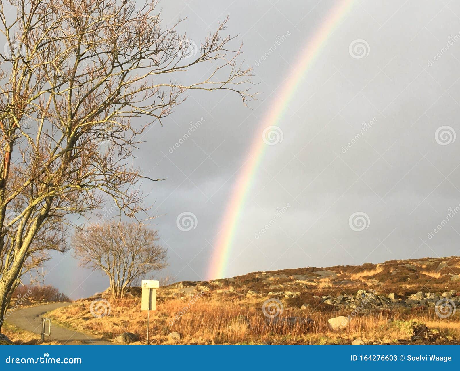 Arcobaleno Con Una Bella Luce Immagine Stock - Immagine di lago, cielo ...