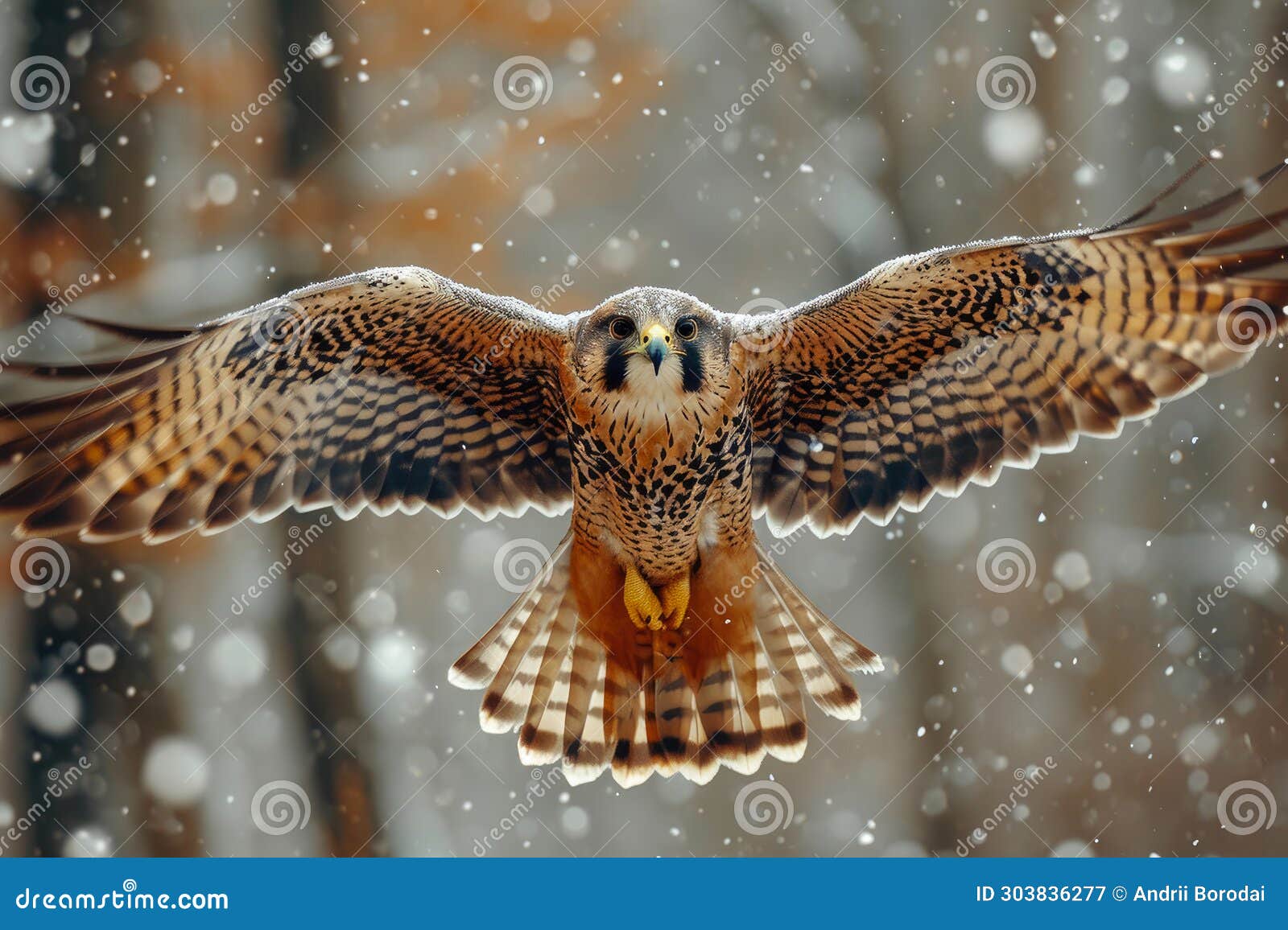Arctic Flight of the Snow Falcon. Stock Illustration - Illustration of ...