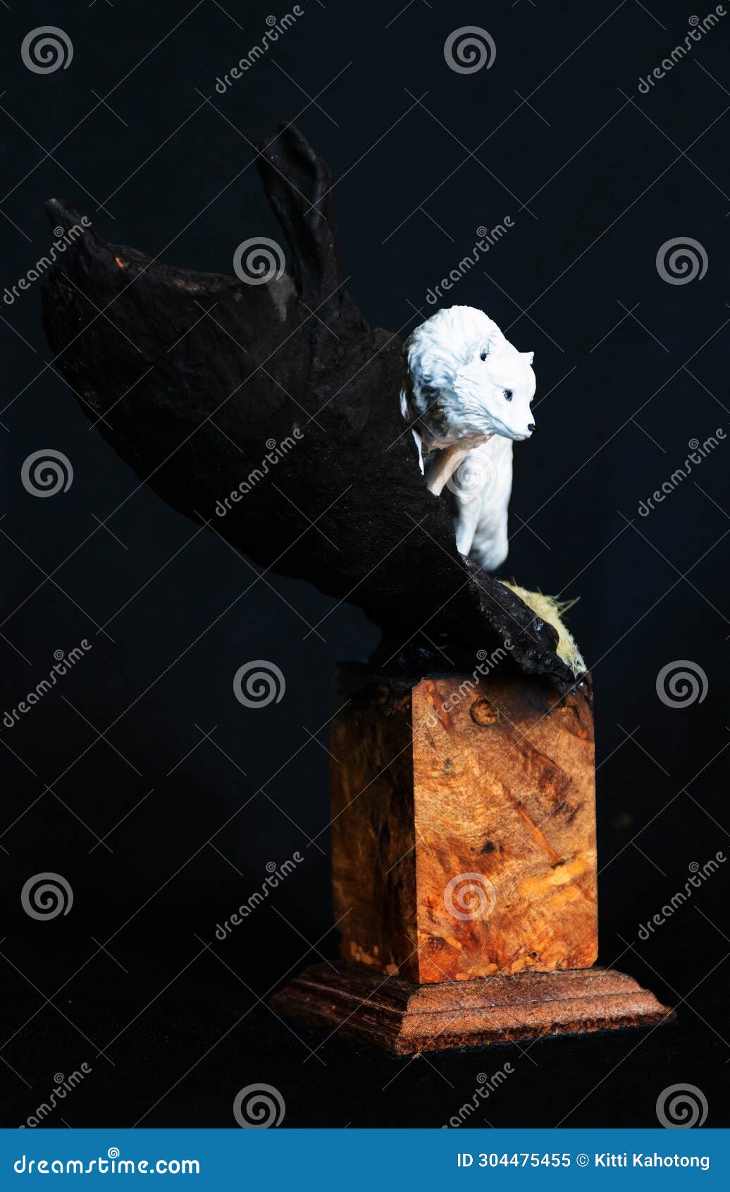 Arctic Fox in the dark stock image. Image of portrait - 304475455