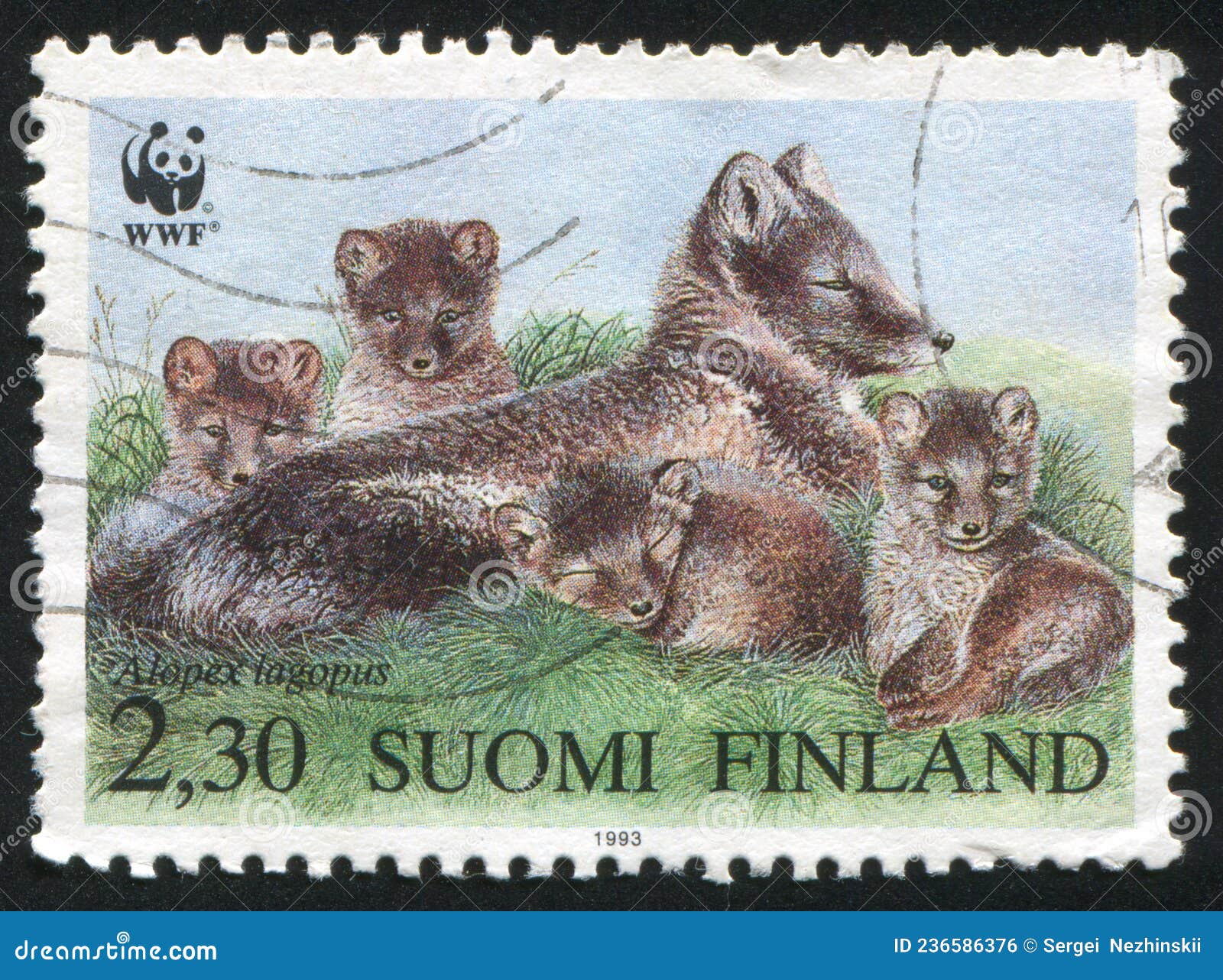 Arctic Fox editorial photo. Image of masking, postage - 236586376