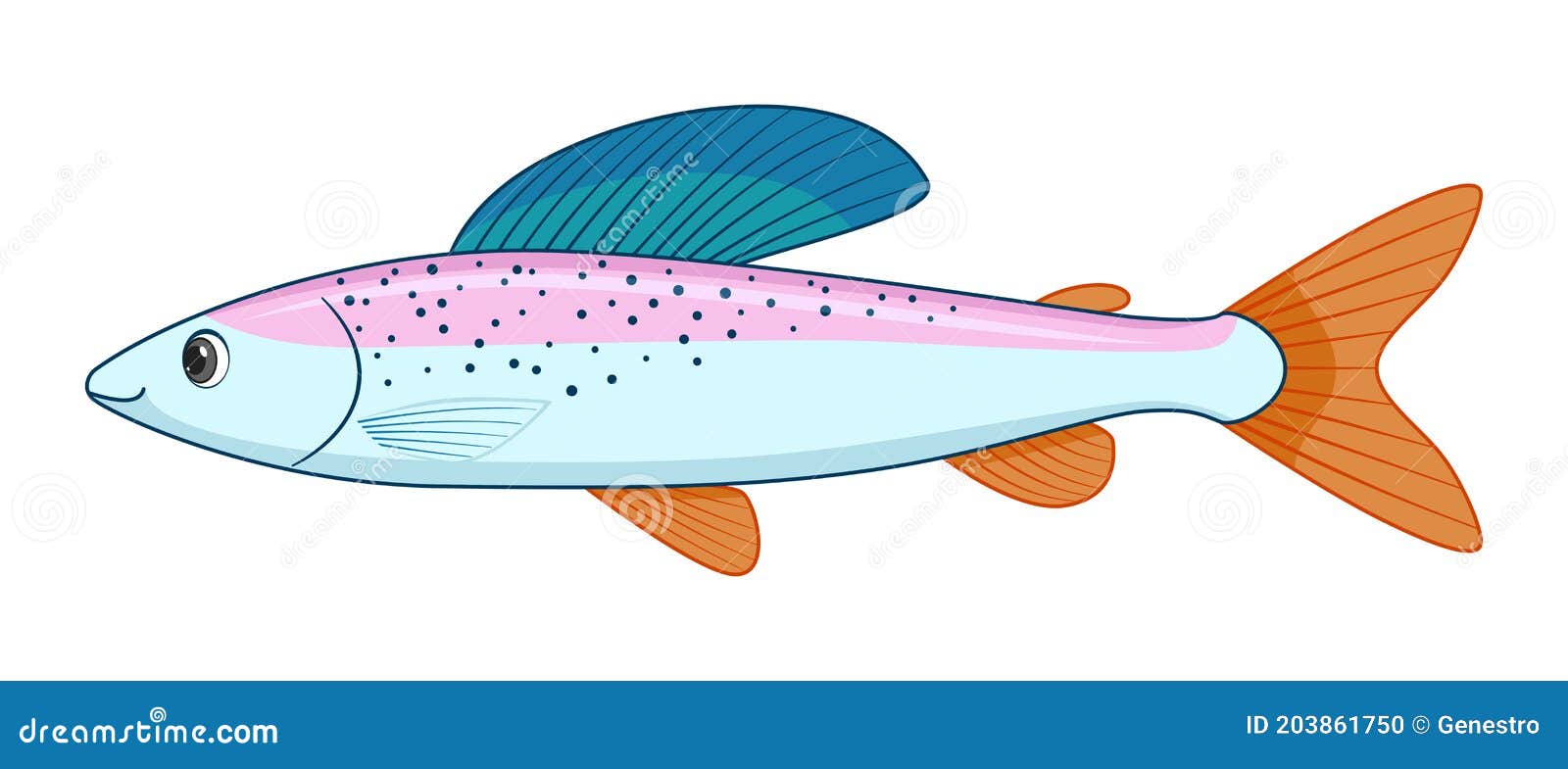 Arctic Grayling Fish on a White Background Stock Vector - Illustration ...