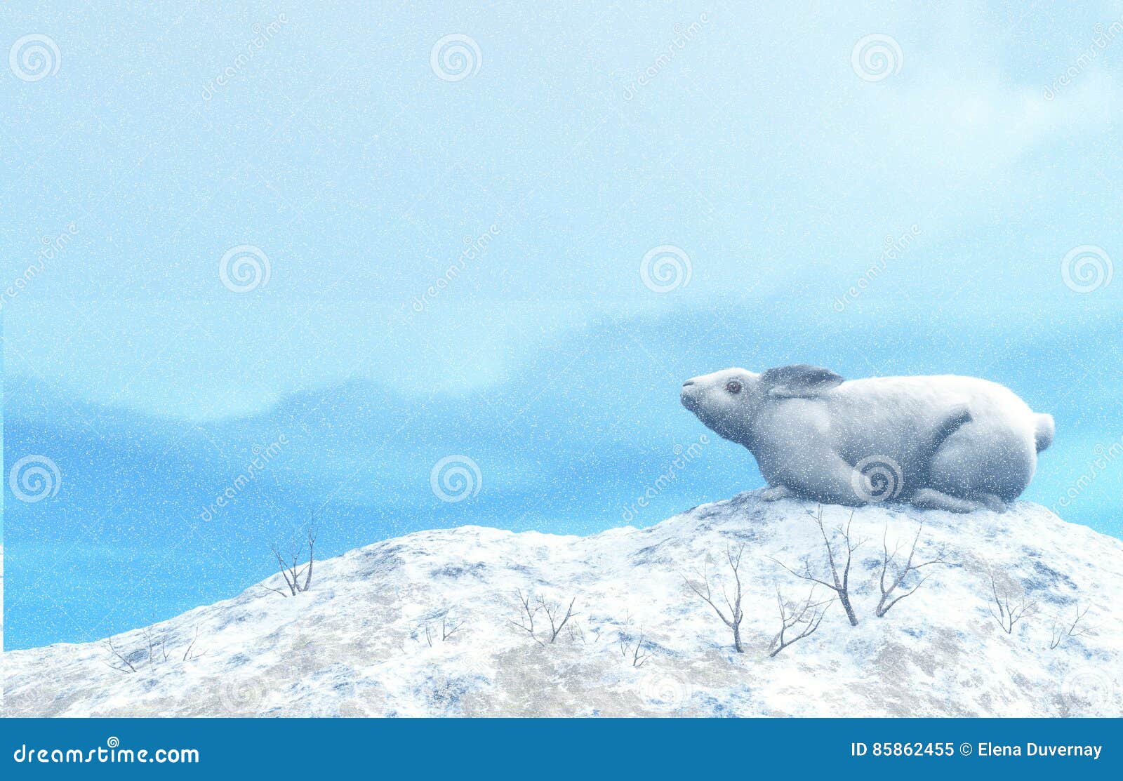 Arctic Hare, Lepus Arcticus, or Polar Rabbit - 3D Render Stock ...