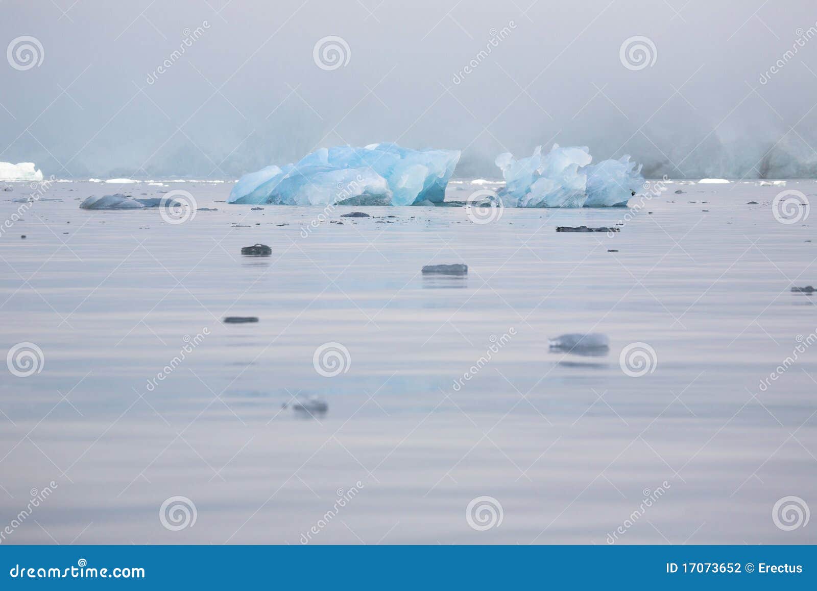 Arctic Landscape - Blue Ice in the Water Stock Photo - Image of water ...