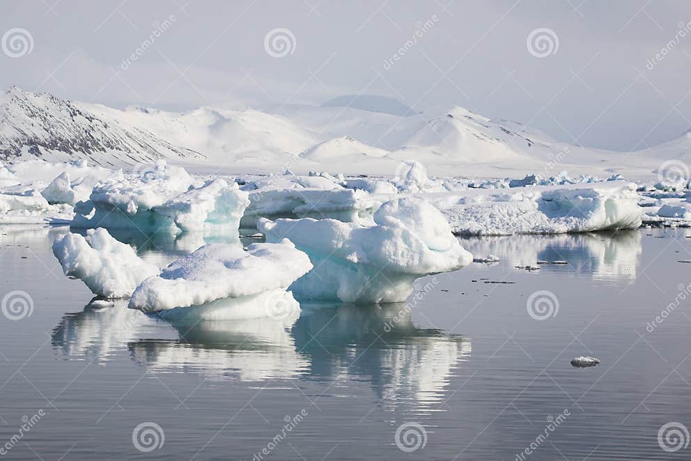Arctic Landscape,ice in the Water Stock Image - Image of svalbard ...