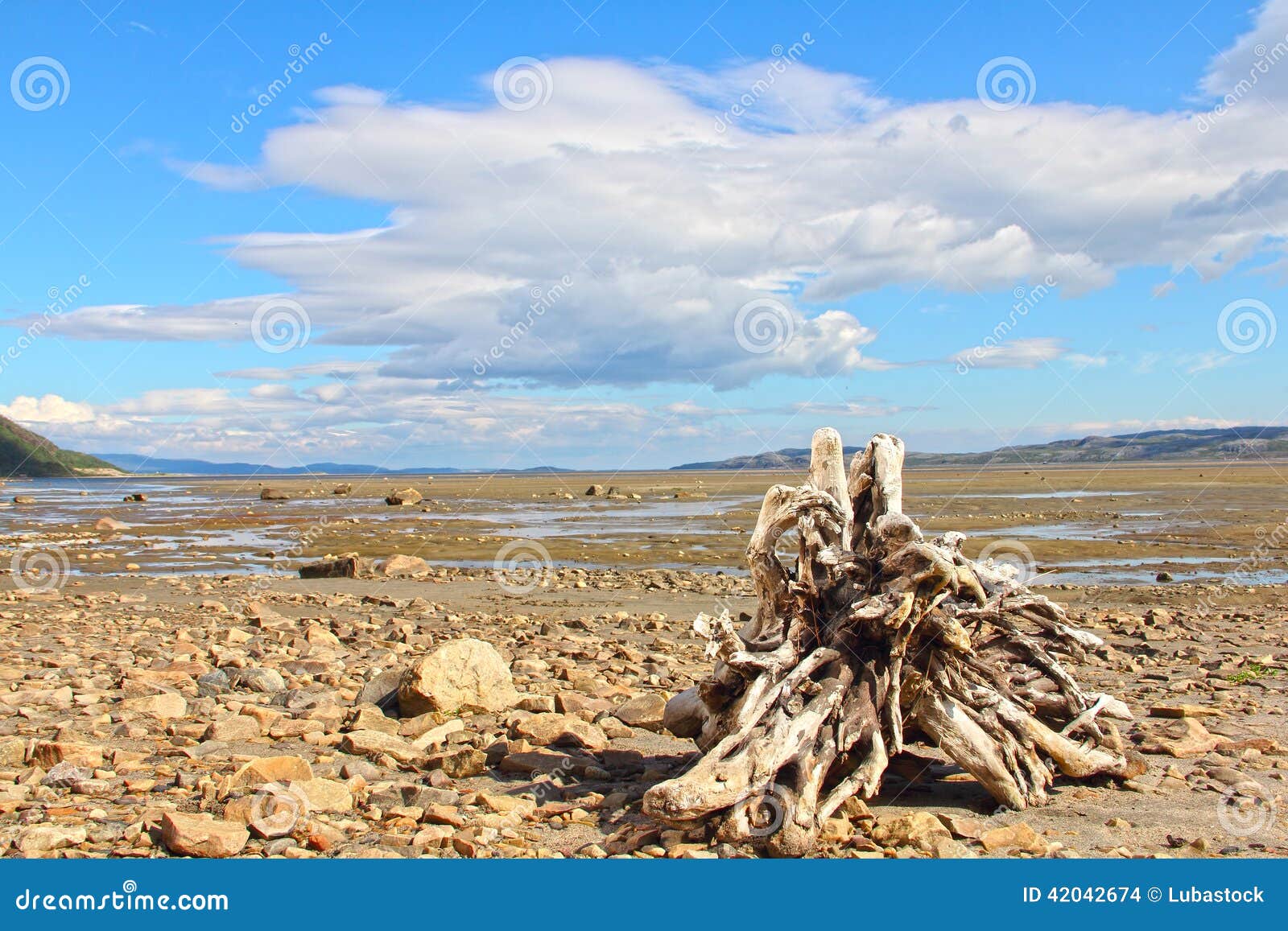 Arctic landscape stock photo. Image of nature, extreme - 42042674