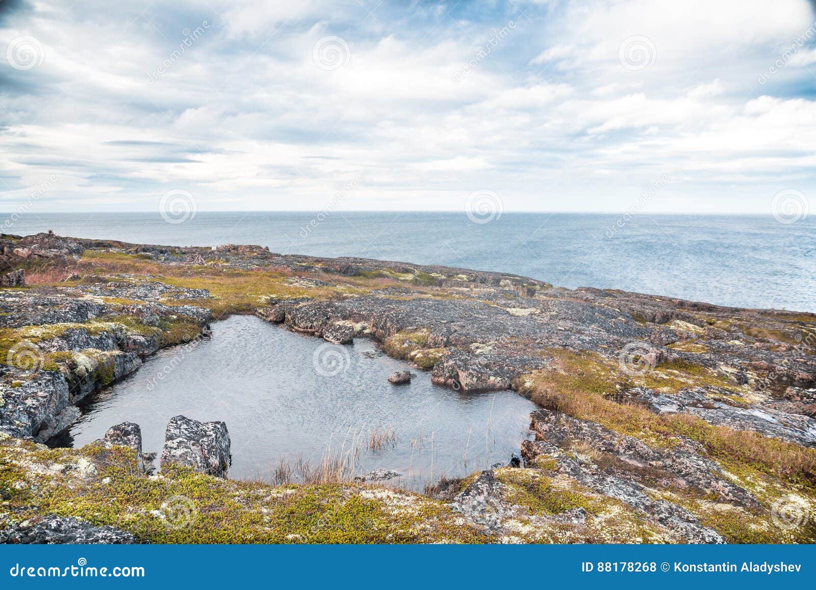 Arctic Ocean shore stock photo. Image of coast, climate - 88178268