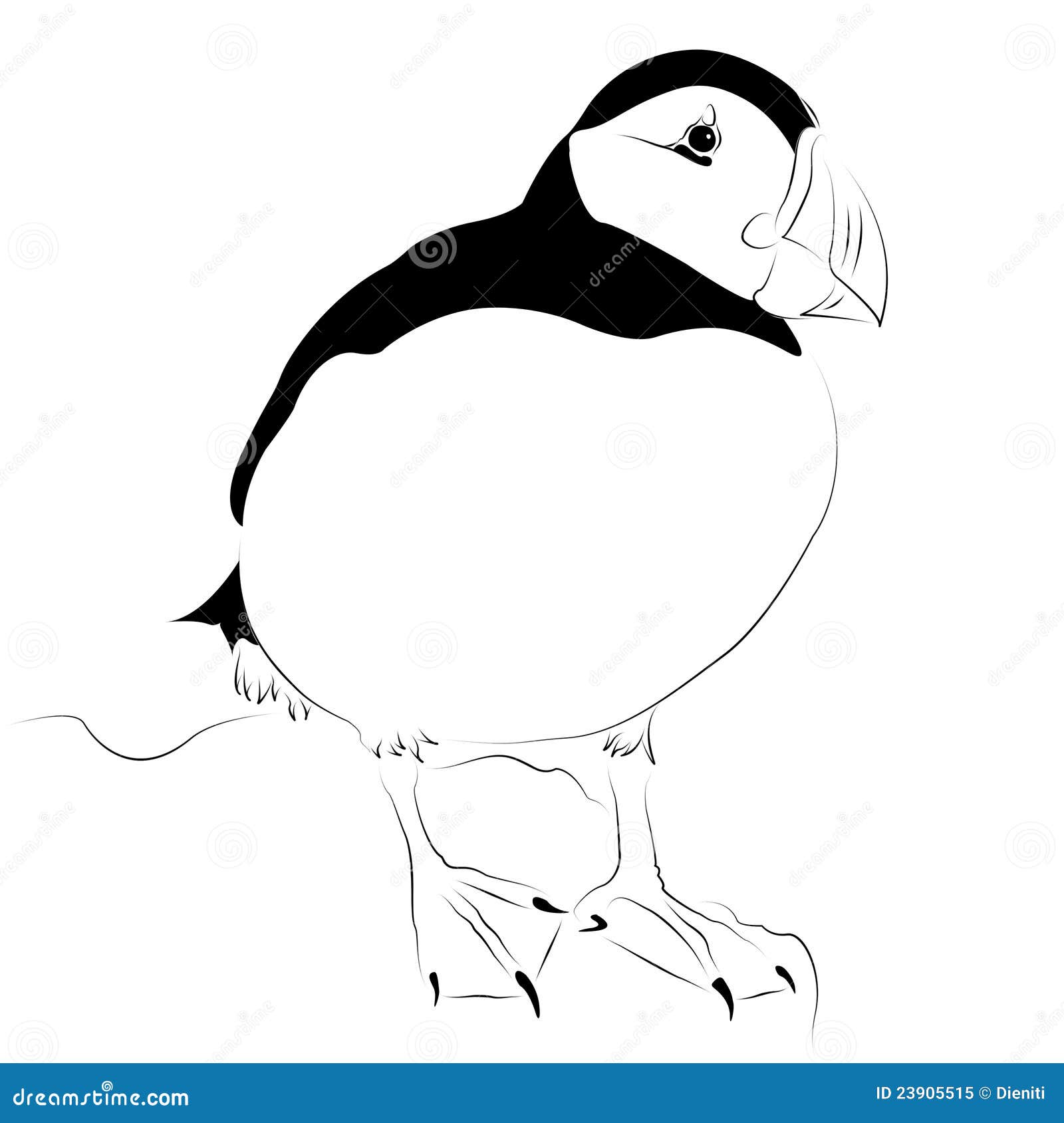 Arctic Puffin As Line Drawing Stock Illustration - Illustration of ...