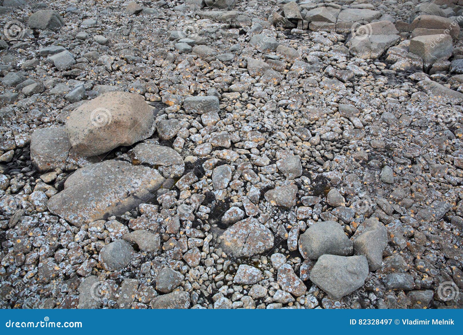 Arctic stone desert stock image. Image of desert, arid - 82328497