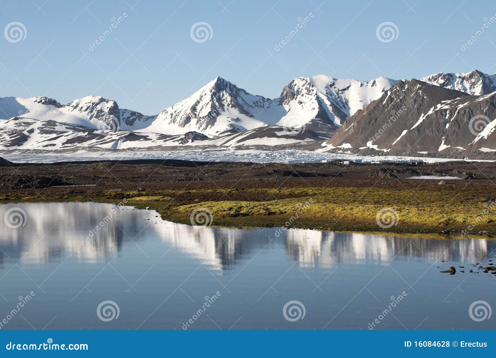 Arctic Summer Landscape - Water Reflection Stock Photo - Image of ...