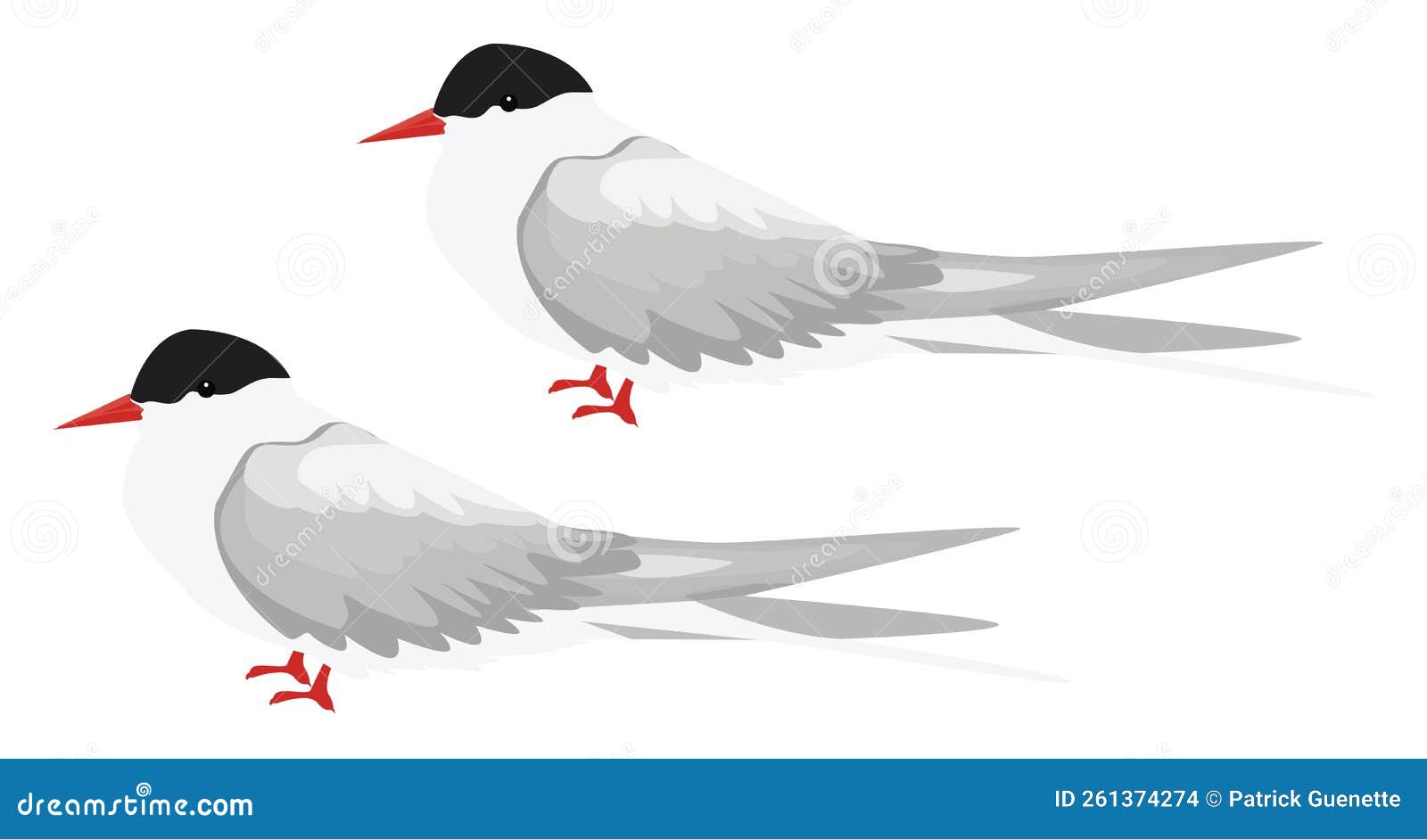 Arctic tern, icon stock vector. Illustration of wing - 261374274