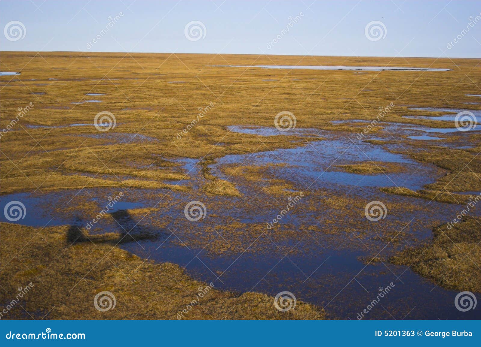 Arctic tundra from air stock image. Image of cool, permafrost - 5201363