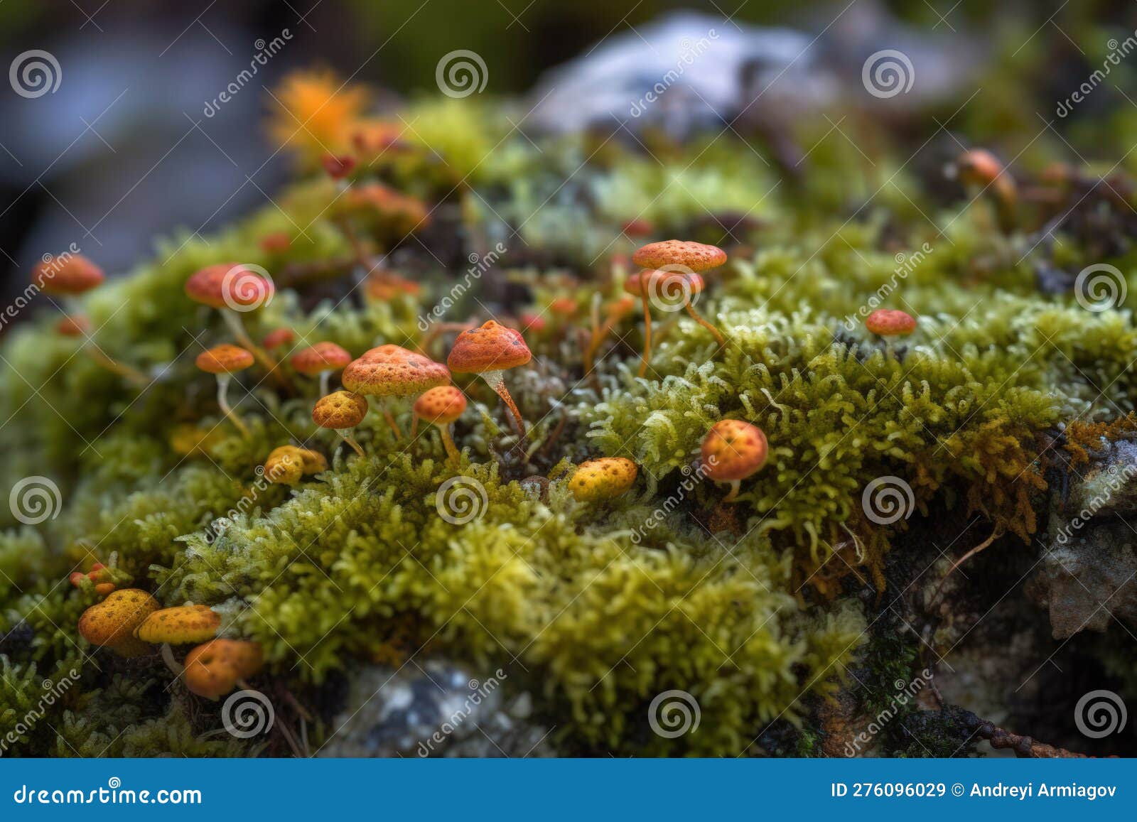 Arctic Tundra Lichen Moss Close-up. Generative AI. Stock Illustration ...
