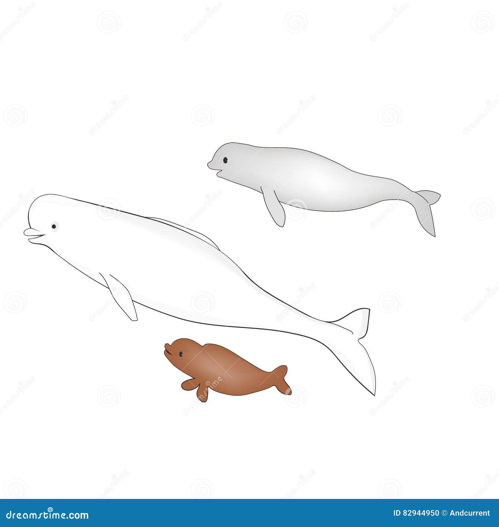 Arctic White Whale Beluga Whale with Babies. Vector Image. Stock Vector ...