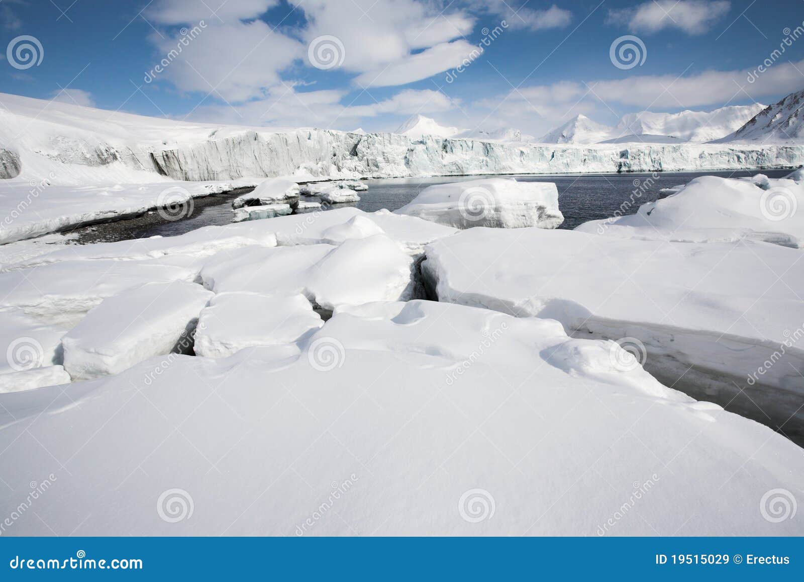 Arctic Fox In A Winter Scene Stock Photography | CartoonDealer.com ...