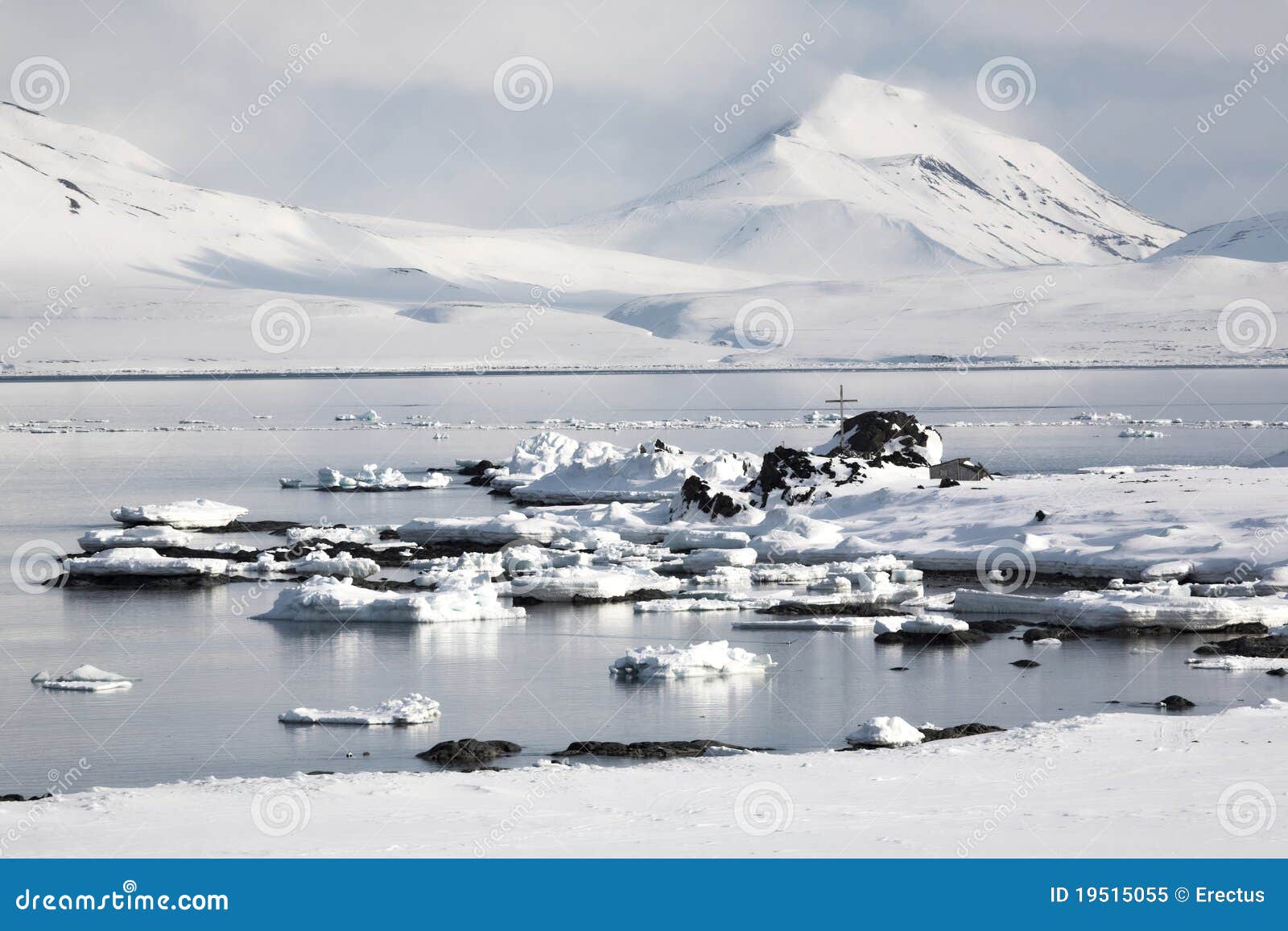 Arctic Fox In A Winter Scene Stock Photography | CartoonDealer.com ...