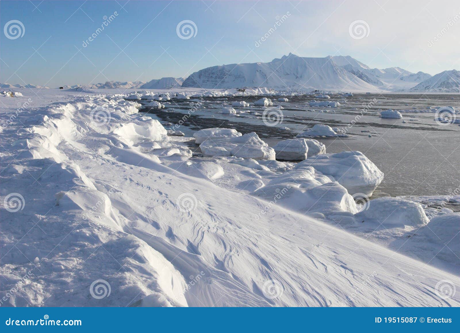 Arctic Fox In A Winter Scene Stock Photography | CartoonDealer.com ...