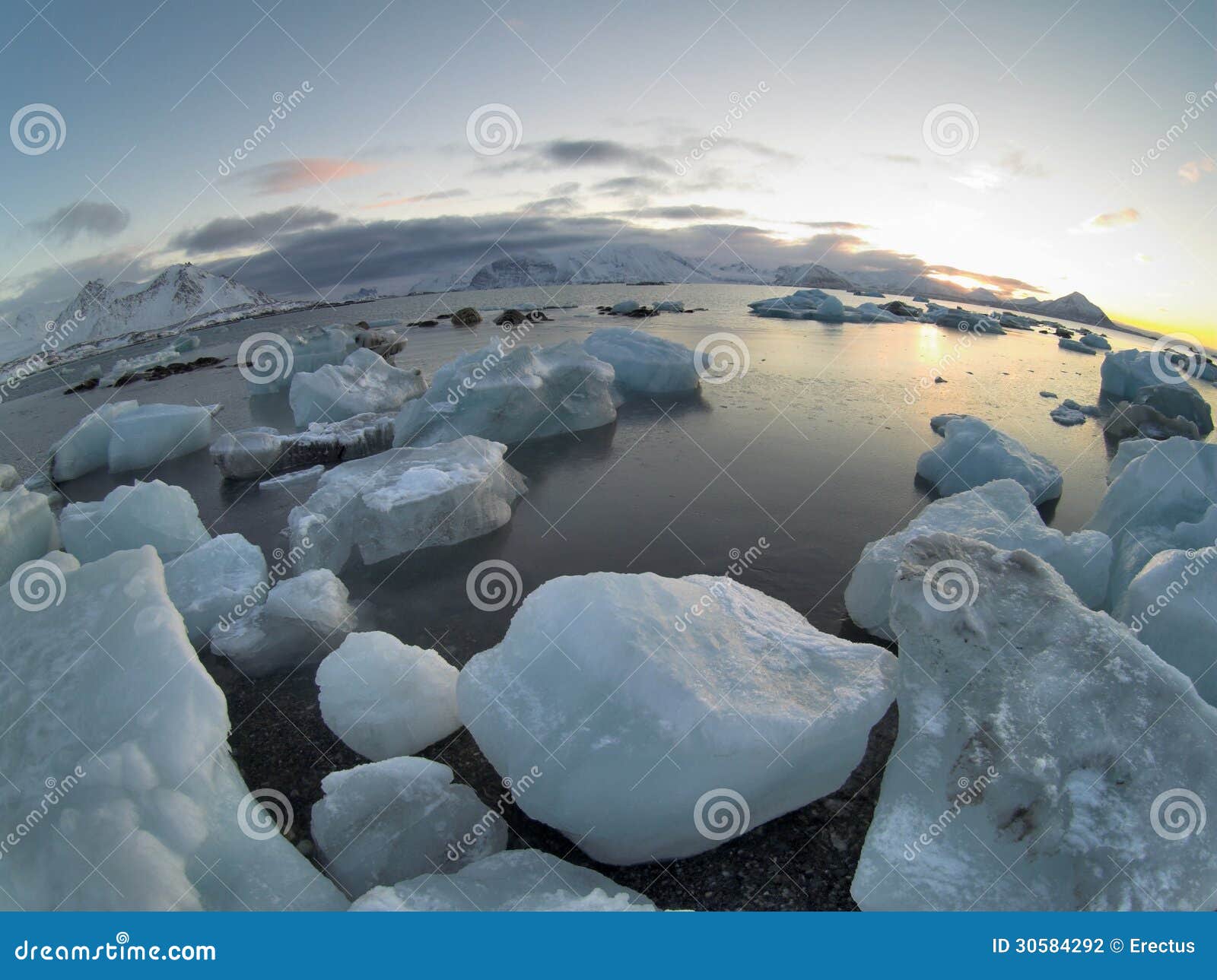 Arctic Fox In A Winter Scene Stock Photography | CartoonDealer.com ...