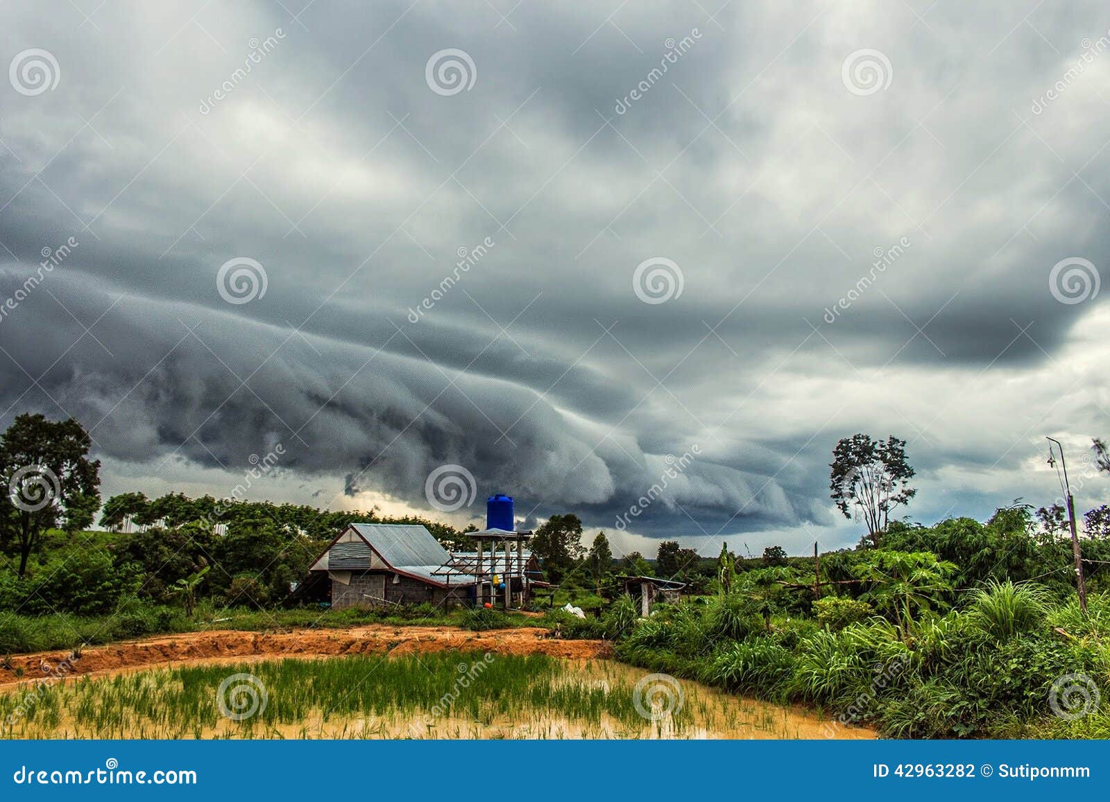 Arcus clouds stock photo. Image of sakin, phuphan, clouds - 42963282