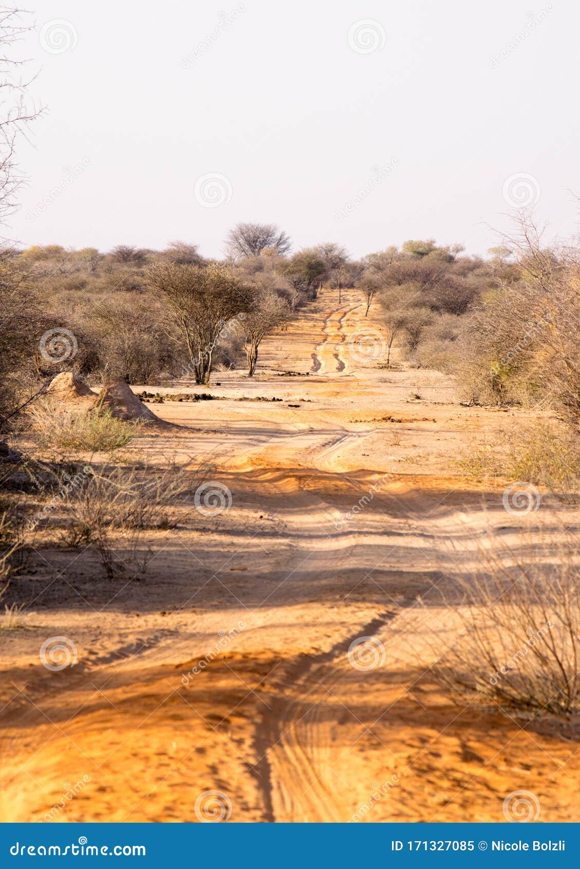 Arduous Path, Way on an Bumpy Safari Road. only Passable with 4x4 ...