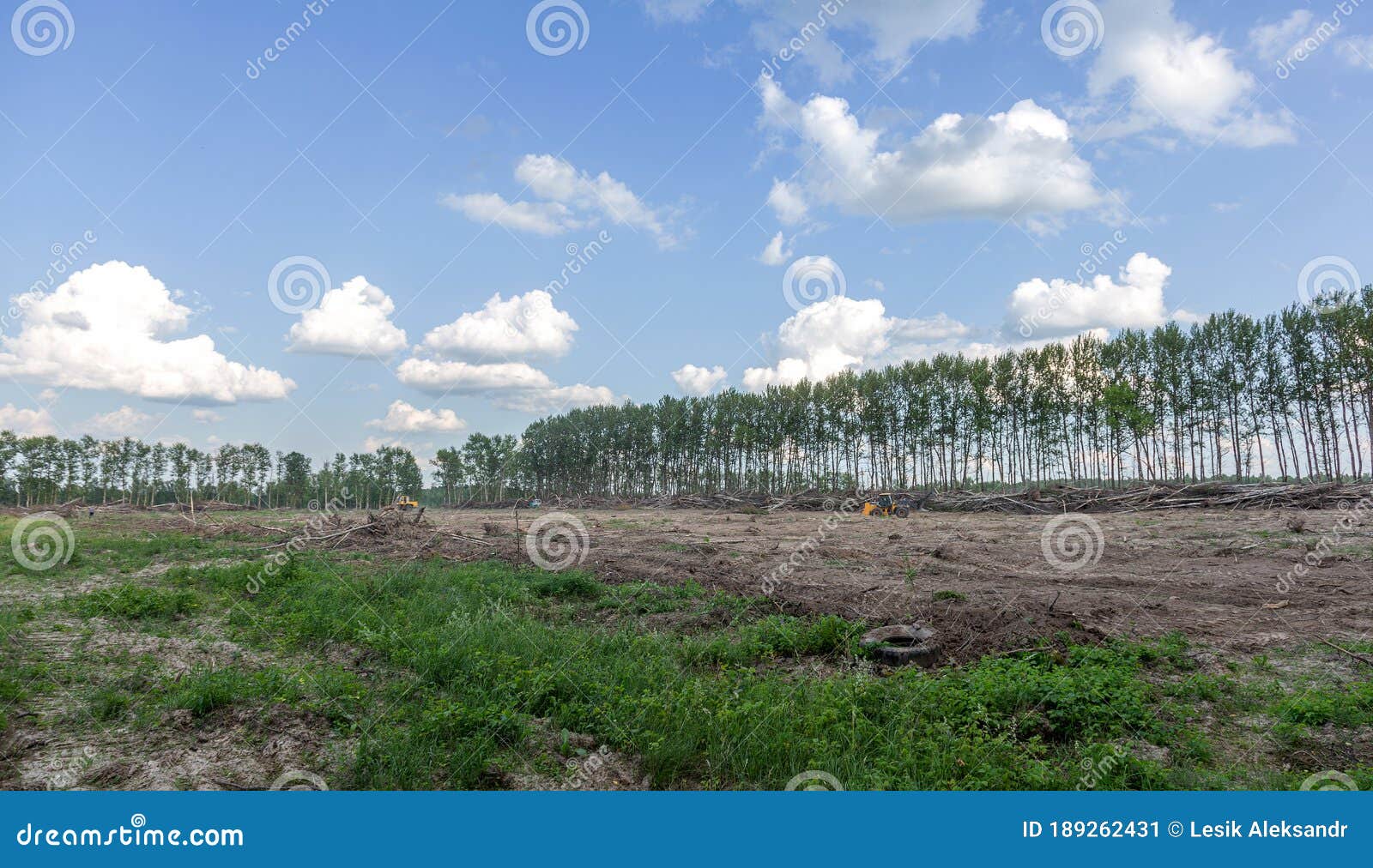 Area of â€‹â€‹illegal Logging. Forests Deforestation Humans are Causing ...