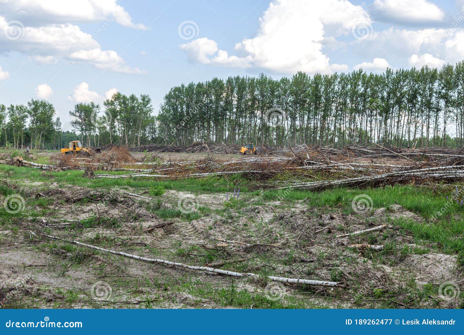 Area of â€‹â€‹illegal Logging. Forests Deforestation Humans are Causing ...