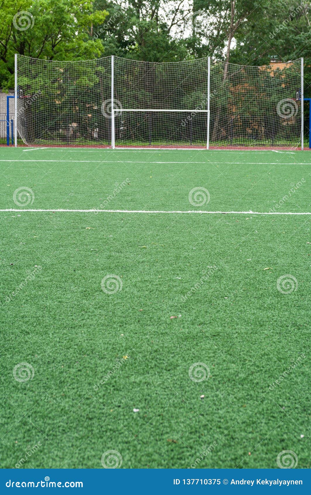 Area of Artificial Turfed Playing Field with Goal and Protective Grid ...