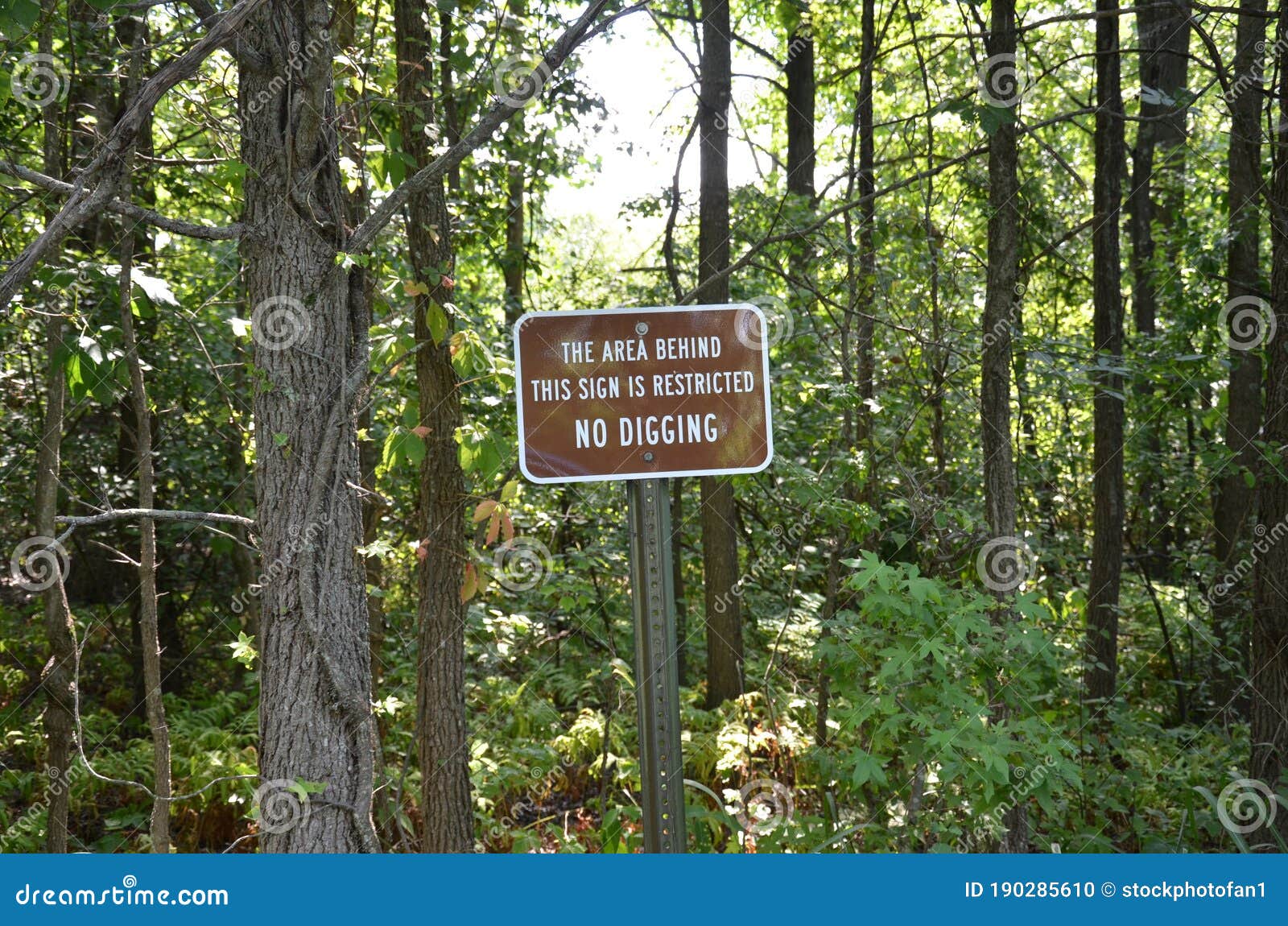 The Area Behind this Sign is Restricted No Digging Sign with Trees ...