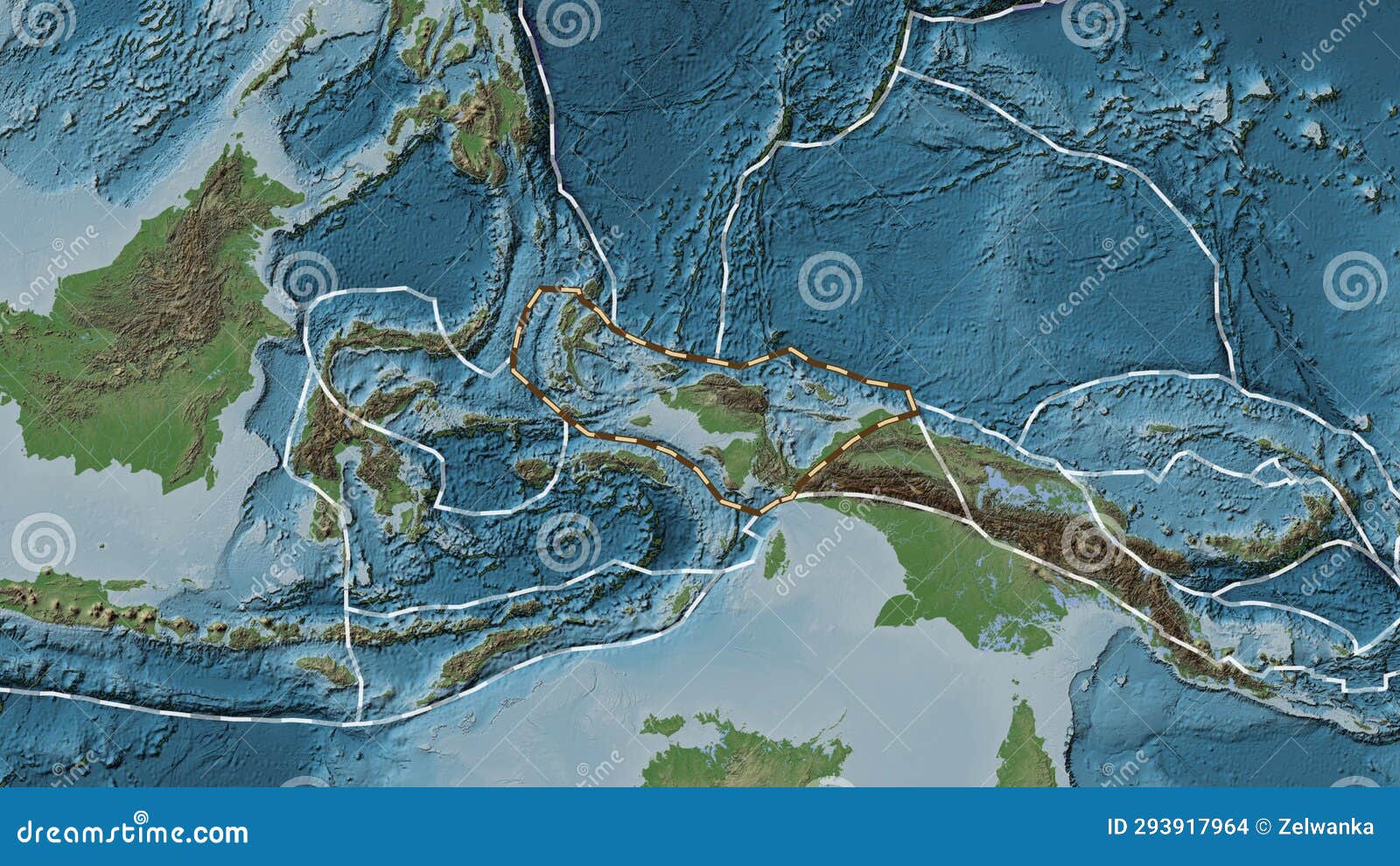 Birds Head Plate Dashed. Patterson Cylindrical. Topografic Stock ...