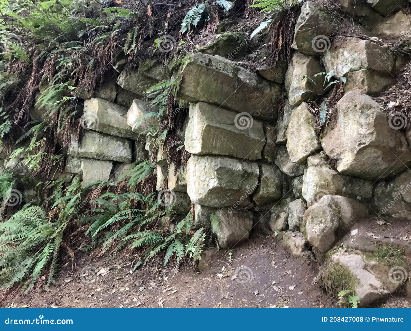 Columnar Basalt in the Forest Stock Photo - Image of stone, area: 208427008