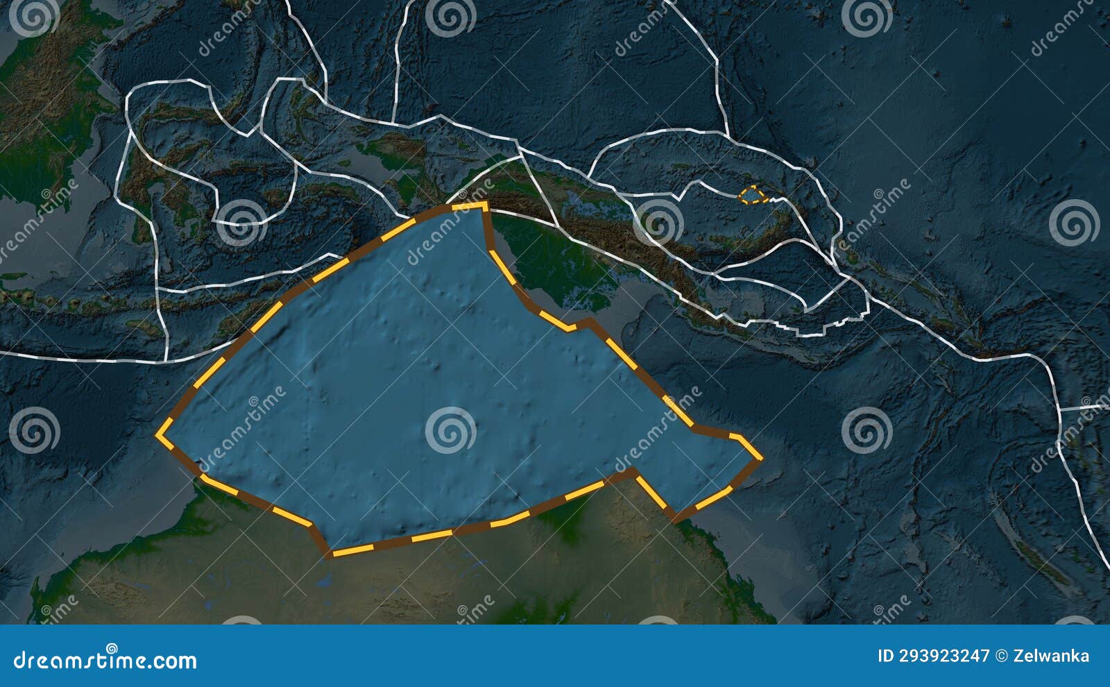 Manus Plate Extracted. Patterson Cylindrical. Physical Stock ...