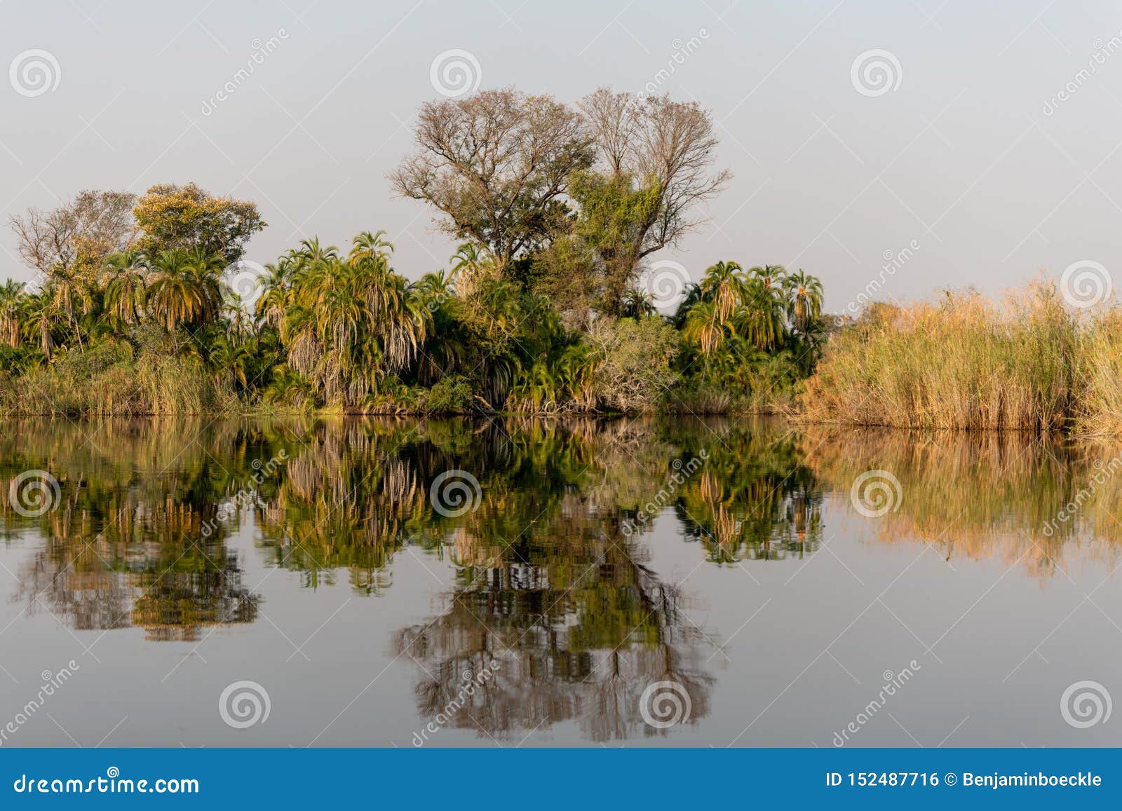 Area of the Okawango Delta at Nxamaseri in Botswana in Africa Stock ...