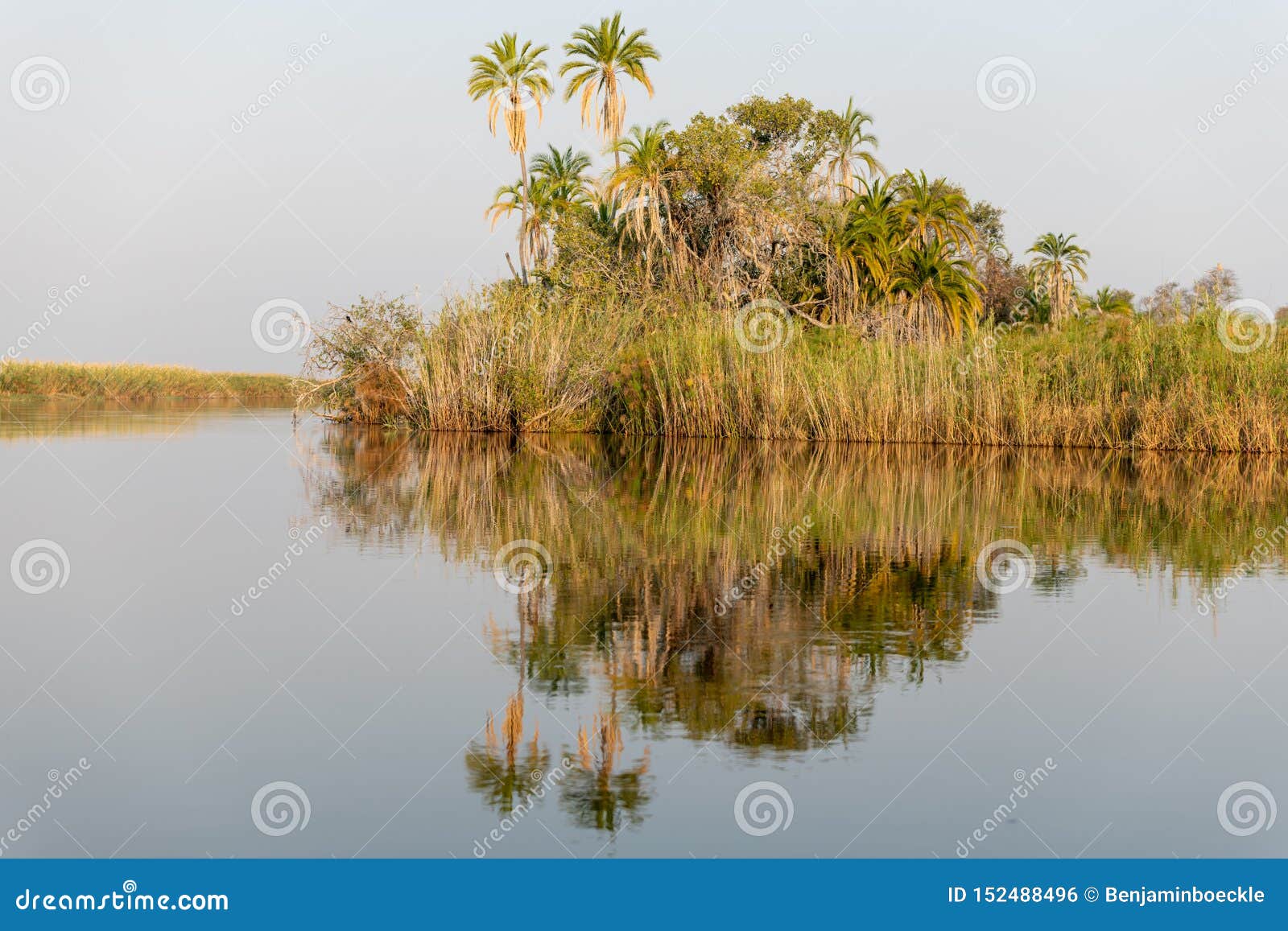 Area of the Okawango Delta at Nxamaseri in Botswana in Africa Stock ...