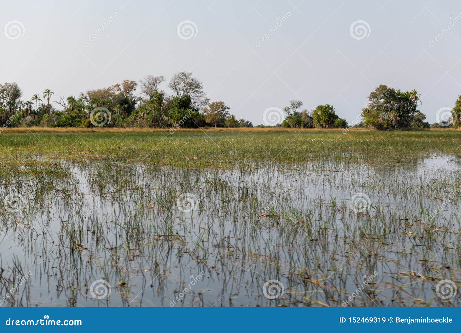 Area of the Okawango Delta at Nxamaseri in Botswana Stock Image - Image ...