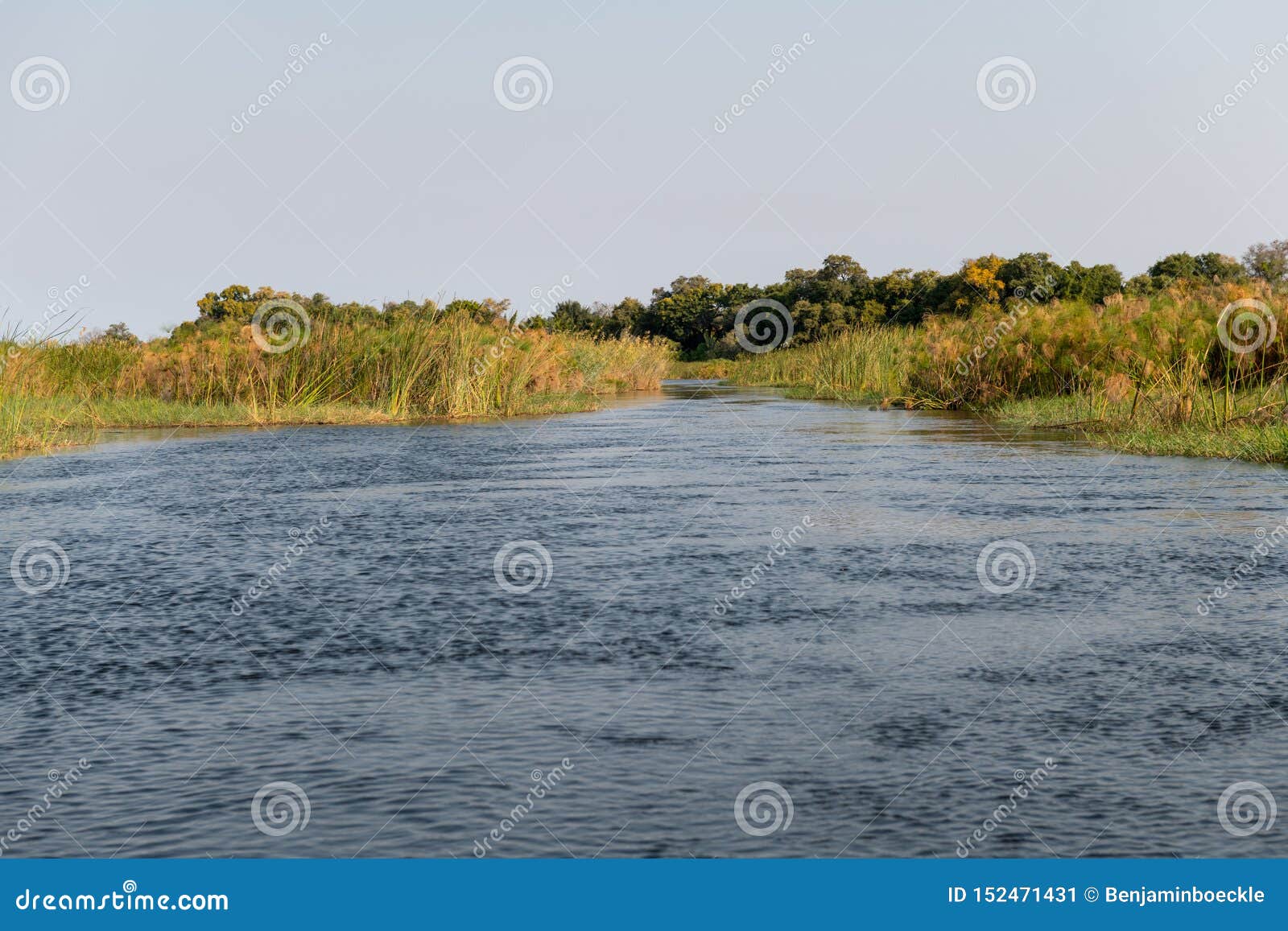 Area of the Okawango Delta at Nxamaseri in Botswana Stock Image - Image ...