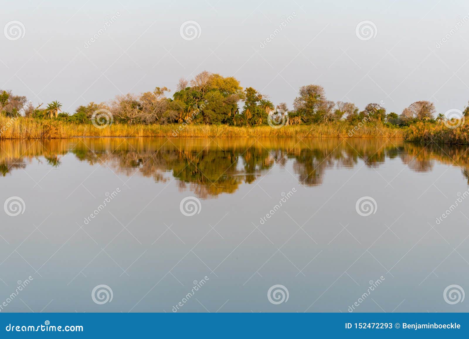 Area of the Okawango Delta at Nxamaseri in Botswana Stock Image - Image ...