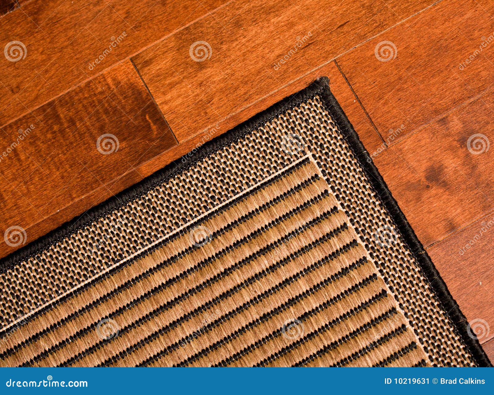 Area rug stock image. Image of architecture, edge, wood - 10219631