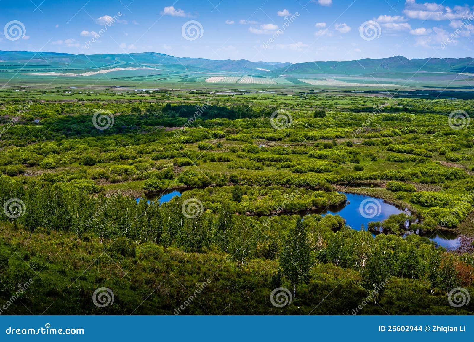 Area Umida Del Inner Mongolia Fotografia Stock - Immagine di cina ...