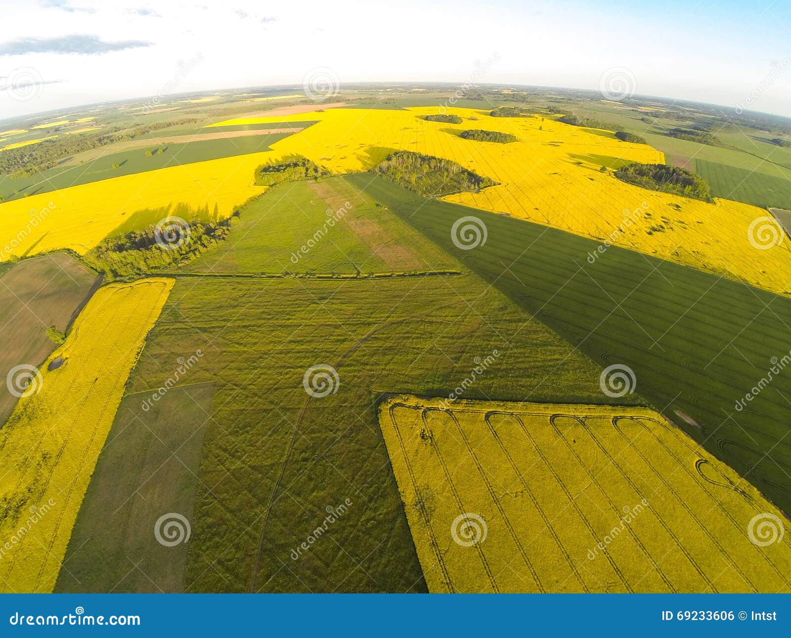 Areal View of Blooming Raps Field Stock Photo - Image of raps, areal ...