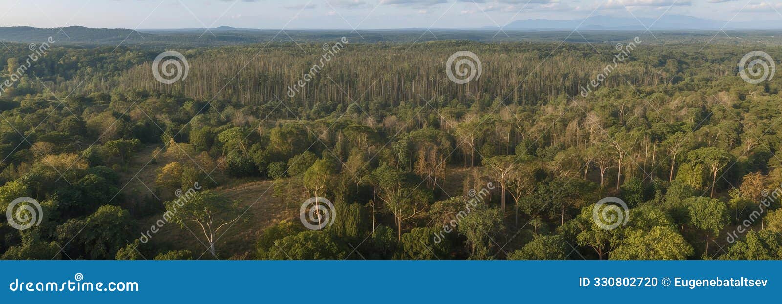 Areas of Cleared Land in Amazon Rainforest Depict Effects of Ongoing ...