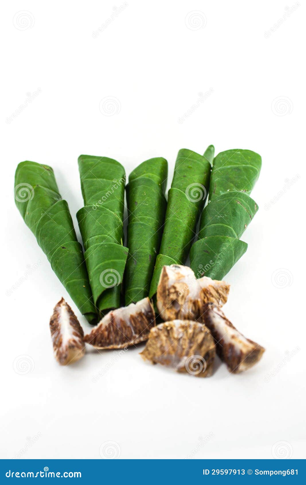 Areca betel leaves nut stock image. Image of plant, leaf - 29597913