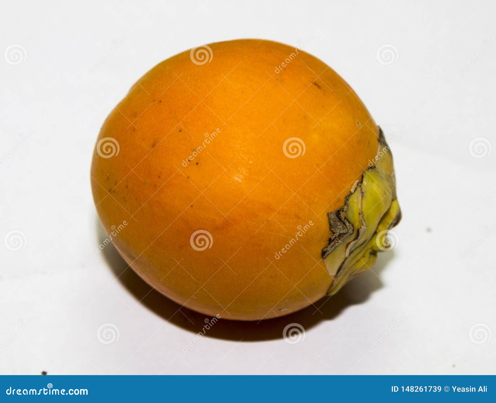 Areca catechu of India stock image. Image of natural - 148261739